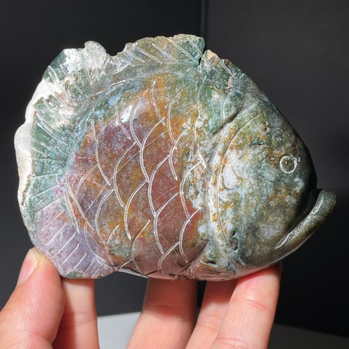 349g Amazing Natural Ocean Jasper Crystal Carved Fish Jasper Halo Stone ...