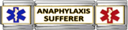 ANAPHYLAXIS SUFFERER MEDICAL ALERT ID Italian 9mm Charm MT020 Triple ...