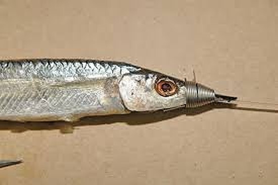 10 Ballyhoo Pin Rig Mahi Dorado Marlin Wahoo Ono Dolphin Trolling ...