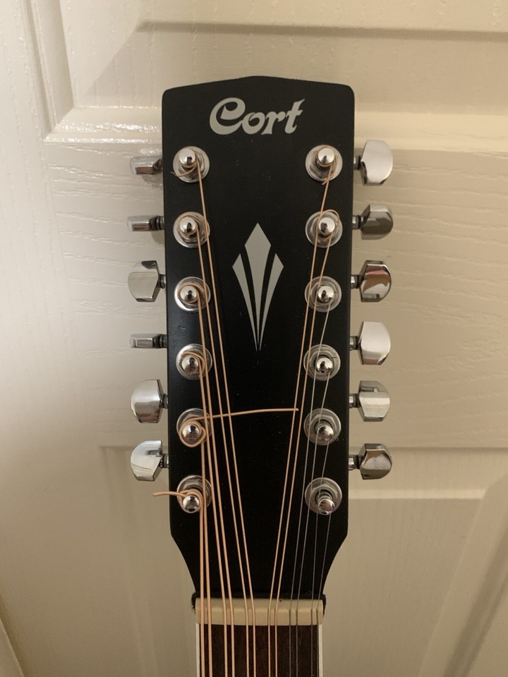 Cort 12 String Guitar | eBay