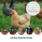 PVC Coated Steel Chicken Rabbit Mesh Fencing Wire Garden Galvanised ...
