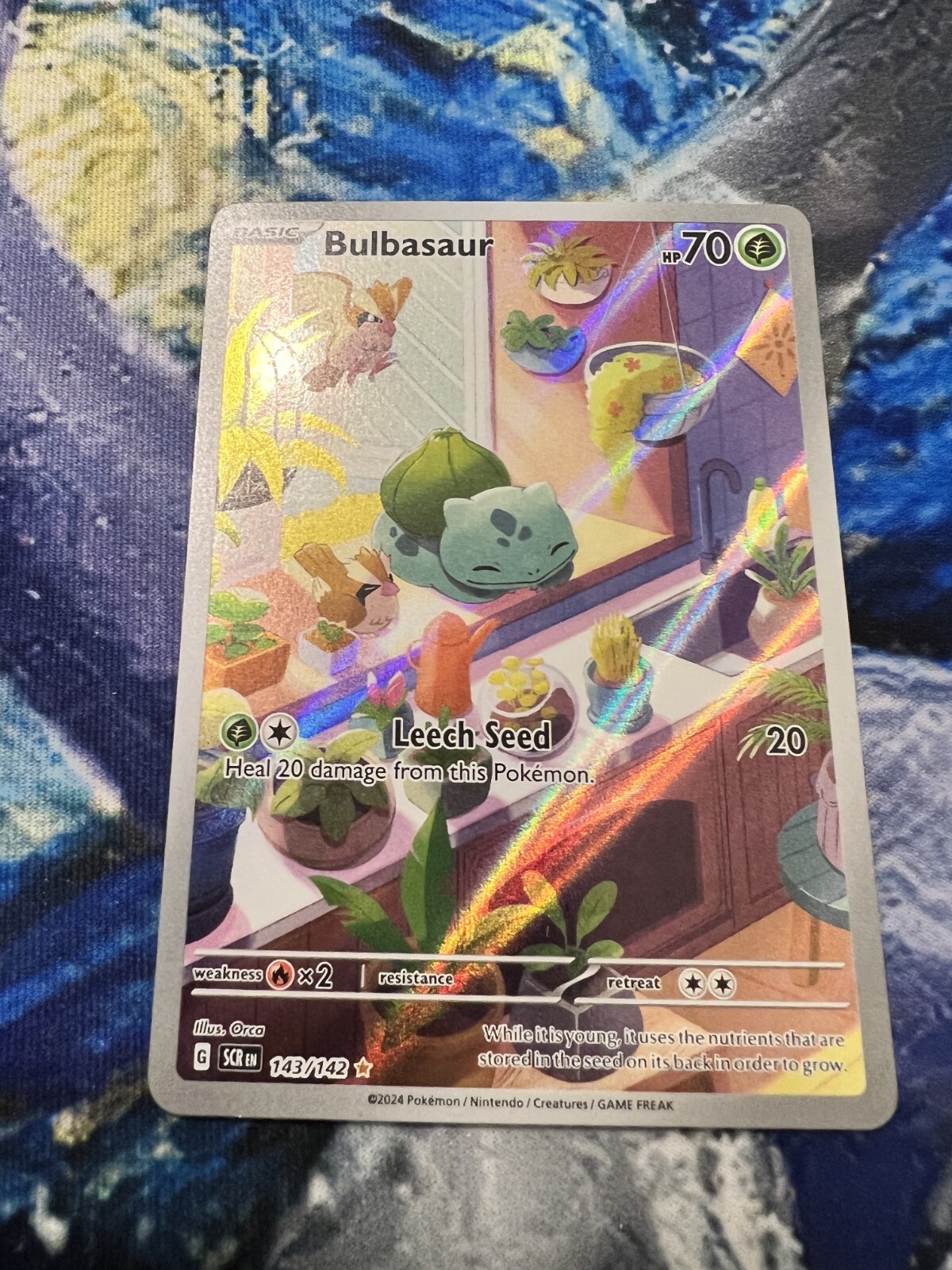 Bulbasaur 143/142 illustration Rare Stellar Crown Pokémon TCG English ...