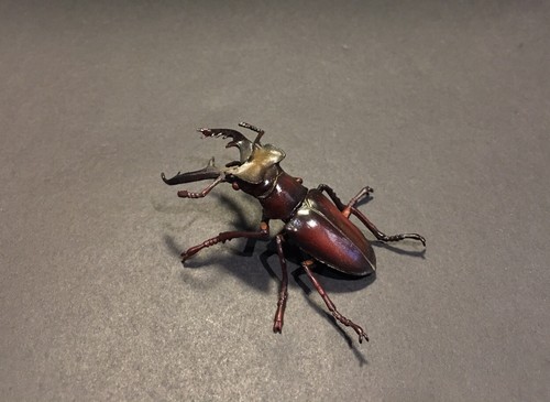 Rare Yujin Kaiyodo Lucanus Maculifemoratus Beetle Insect PVC Figure ...