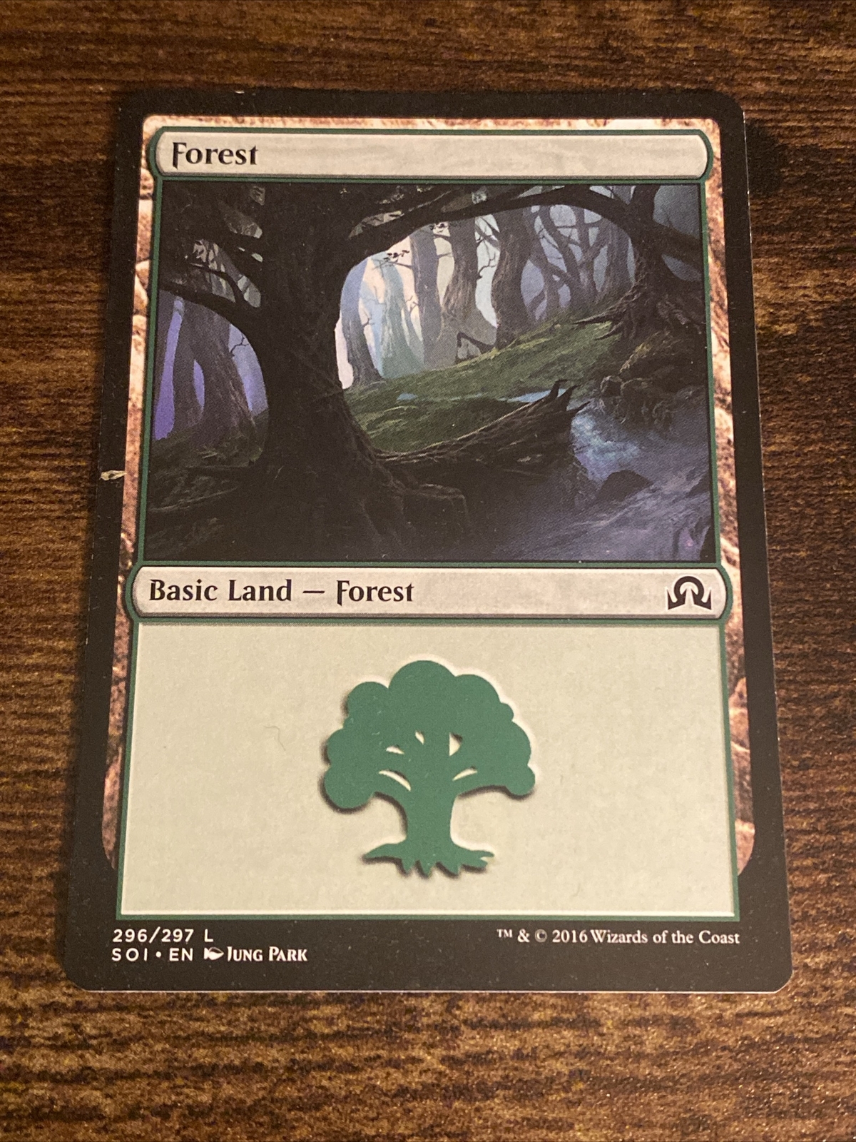 Forest (296) Shadows over Innistrad MTG Magic The Gathering L10642* | eBay