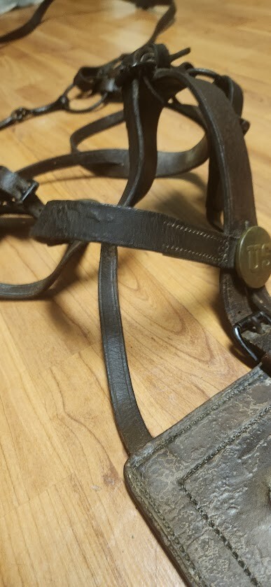U.S. Cavalry Civil War Horse/Mule Blinders Bridle Harness Bit Rein | eBay