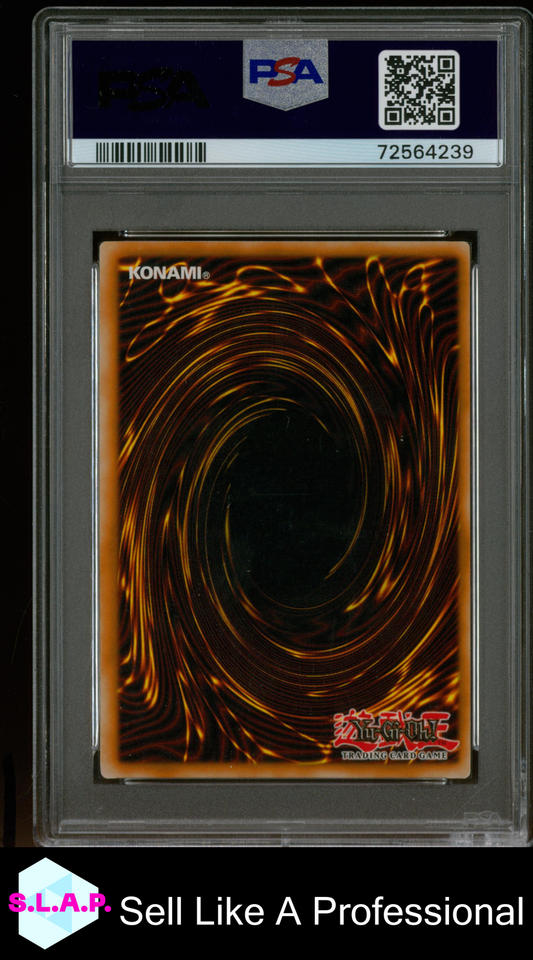 DARK MAGICIAN 1ST EDITION PORT YU-GI-OH! LOB 2002 P005 PSA 9 | eBay