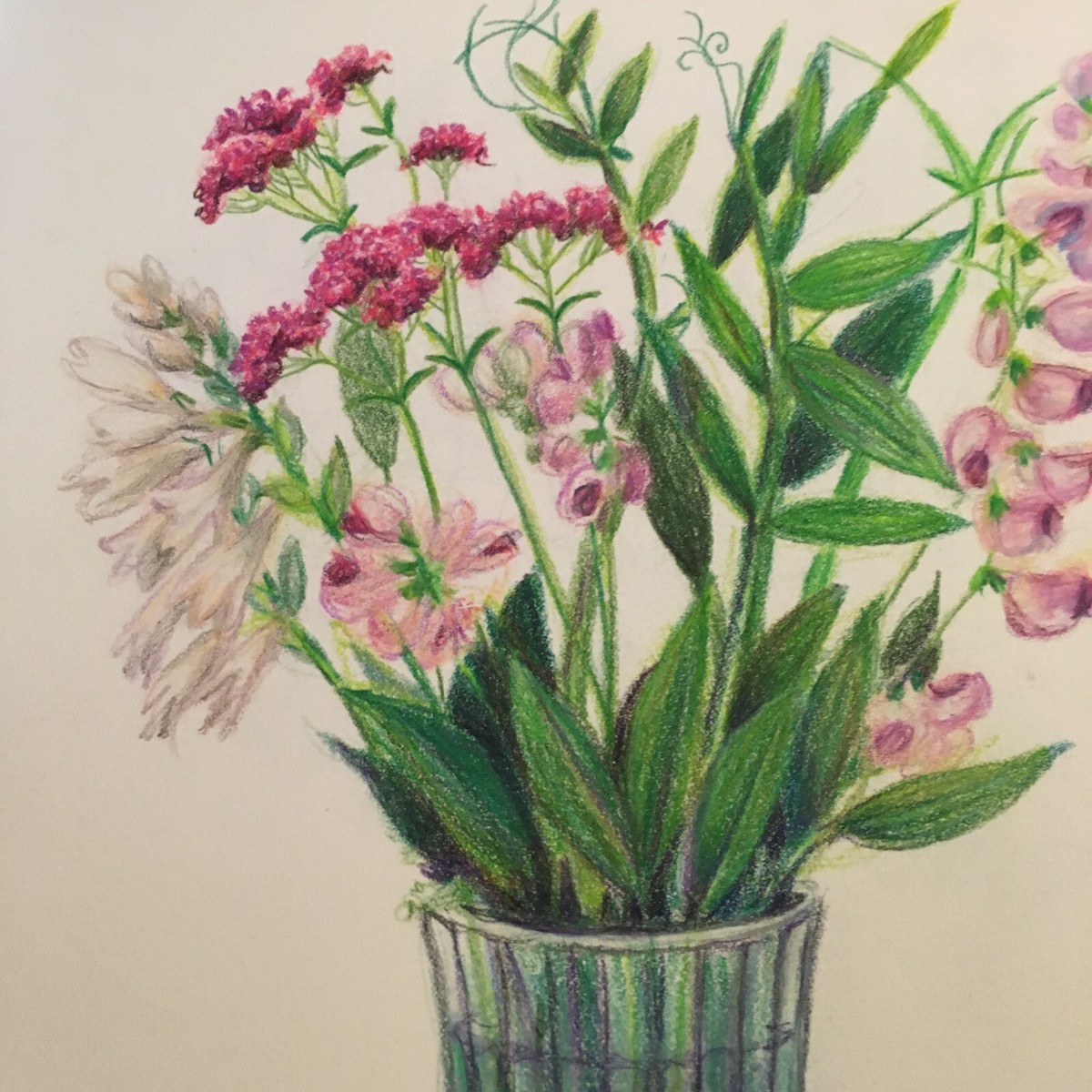 Pencil Drawing Flower Garden | Best Flower Site