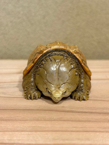 Giant Alligator Snapping Turtle (Golden) Figure, Heavy Feeling, Reptile ...