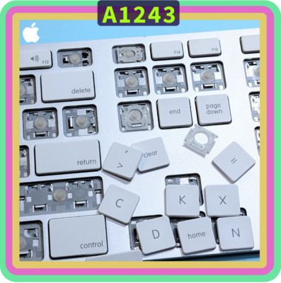 🍏Replacement KEYS Apple Wired Keyboard A1243 Individual Key Cap + Hinge ...