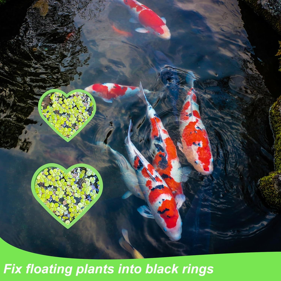 5Pcs Aquarium Floating Plant Rings, Foam Betta Fish Feeding Rings Heart ...