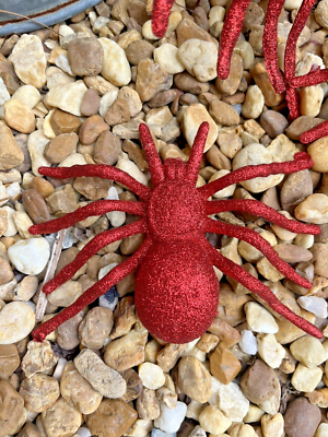 Red Tarantula Spider