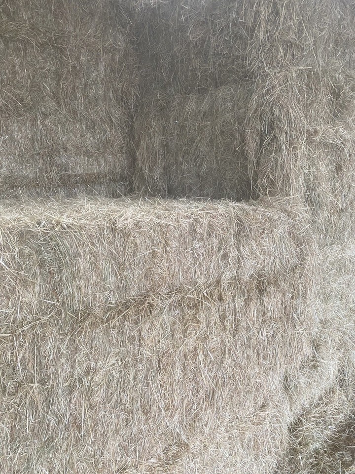 hay bales 6 String 2024 | eBay UK