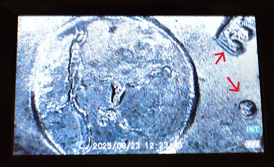 1974 Eisenhower Dollar Coin Multi Error DDO DDR Crater Anomaly Die ...