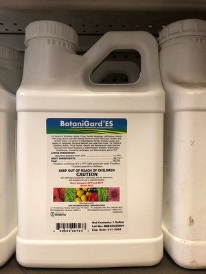 BotaniGard ES Myco Insecticide - 1 Gallon | eBay