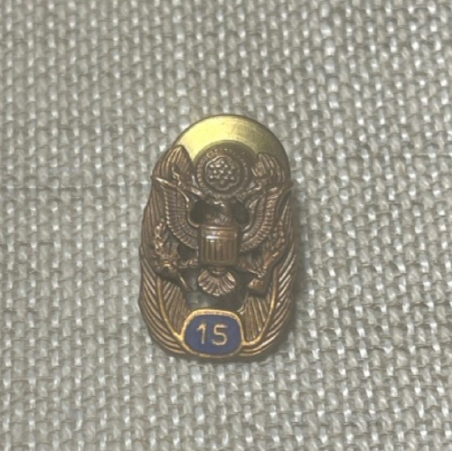 U.S. Federal Government 15 year service retirement pin copper color ...