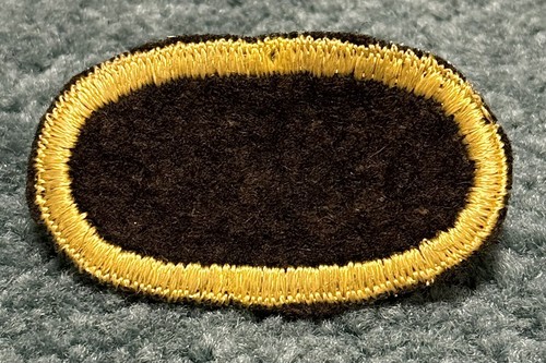 WWII 541st Parachute Infantry Battalion Jump Wing Oval On Felt | eBay