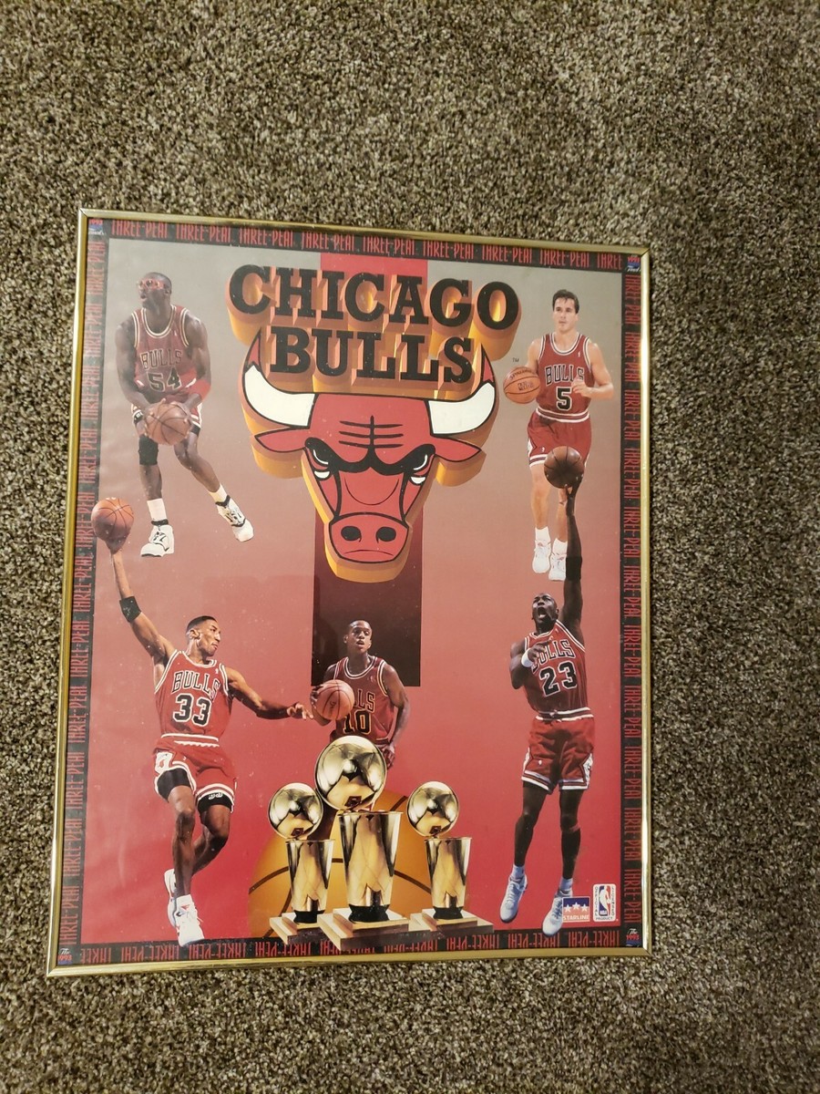 Chicago Bulls Championship Roster 1993 Phoenix Suns' 1993 NBA Finals