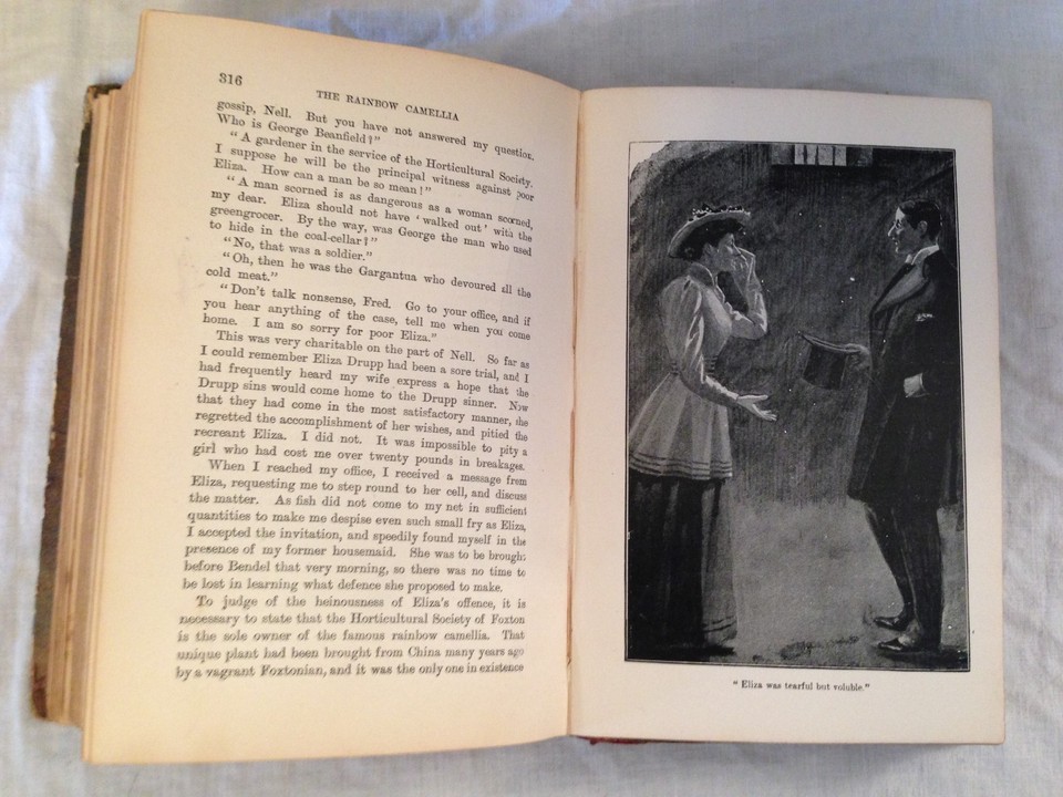Fergus Hume - The Dwarf's Chamber - 1898 Ward Lock - Scarce Mystery ...