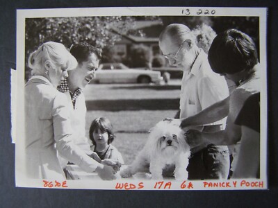Glossy Press Photo 6/12 Natick Dr Edward Zullo Prepares a Pooch ...