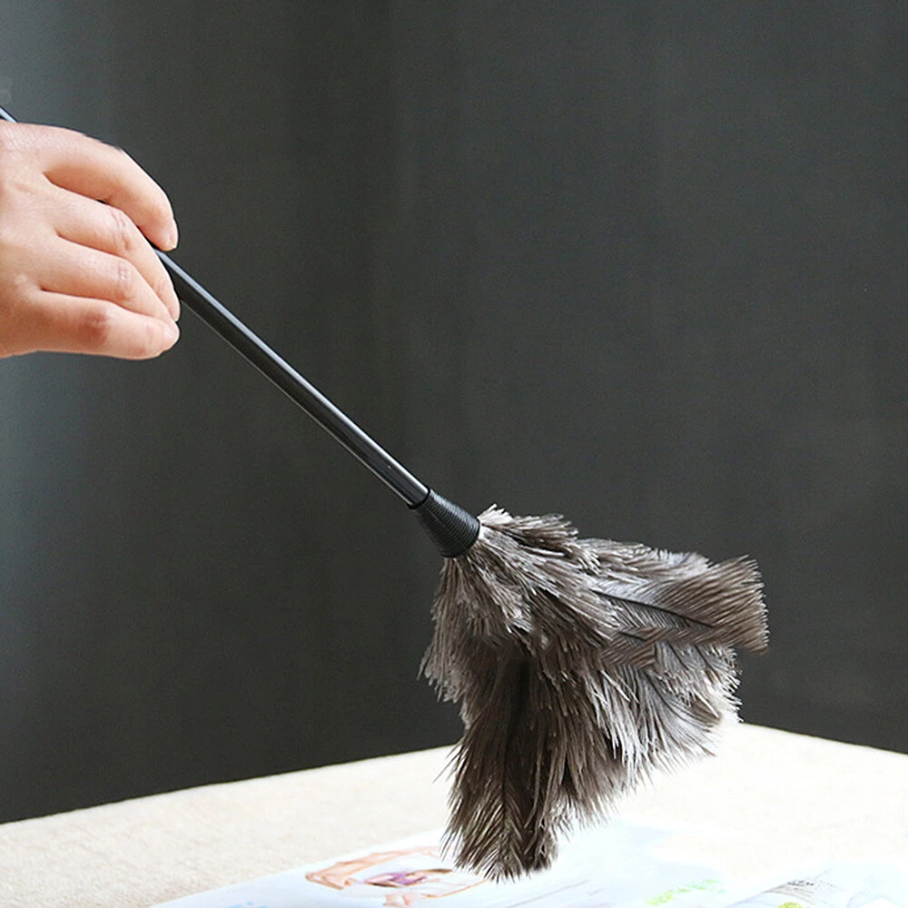 Feather Dusting Painting