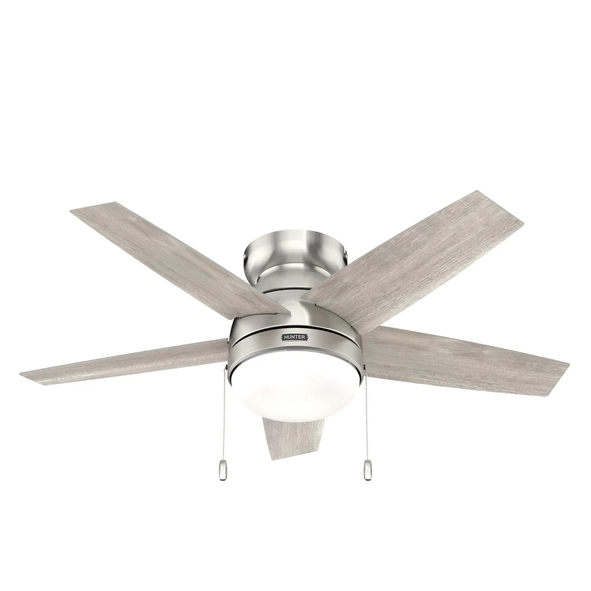 Hunter 44 Inch Ceiling Fan With Light | Shelly Lighting