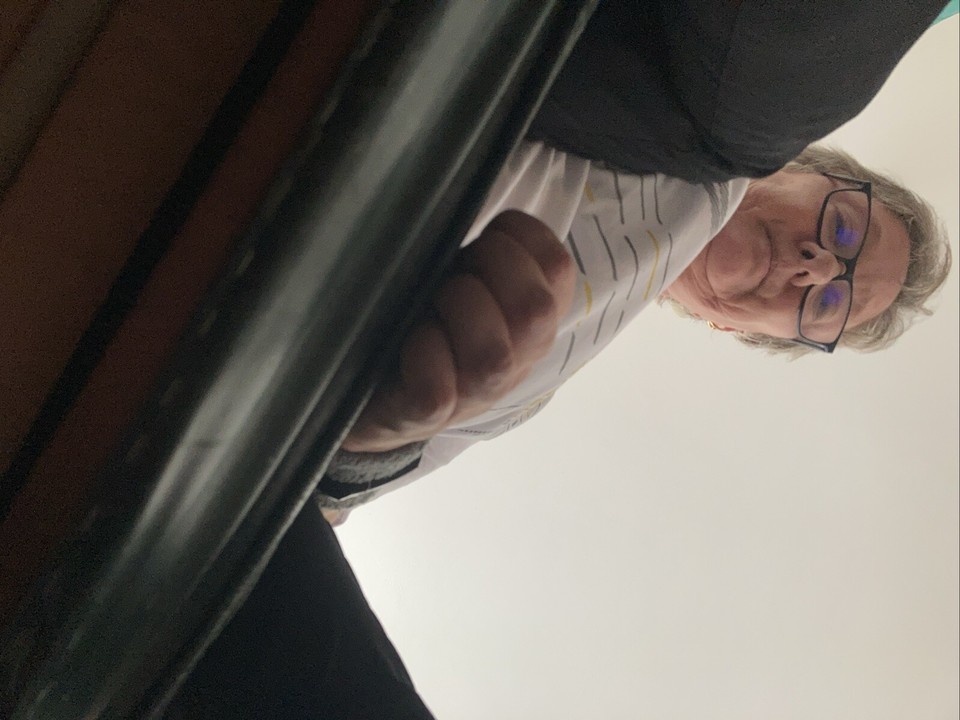 Whimsy wade small ornaments animals dog Retriever | eBay UK