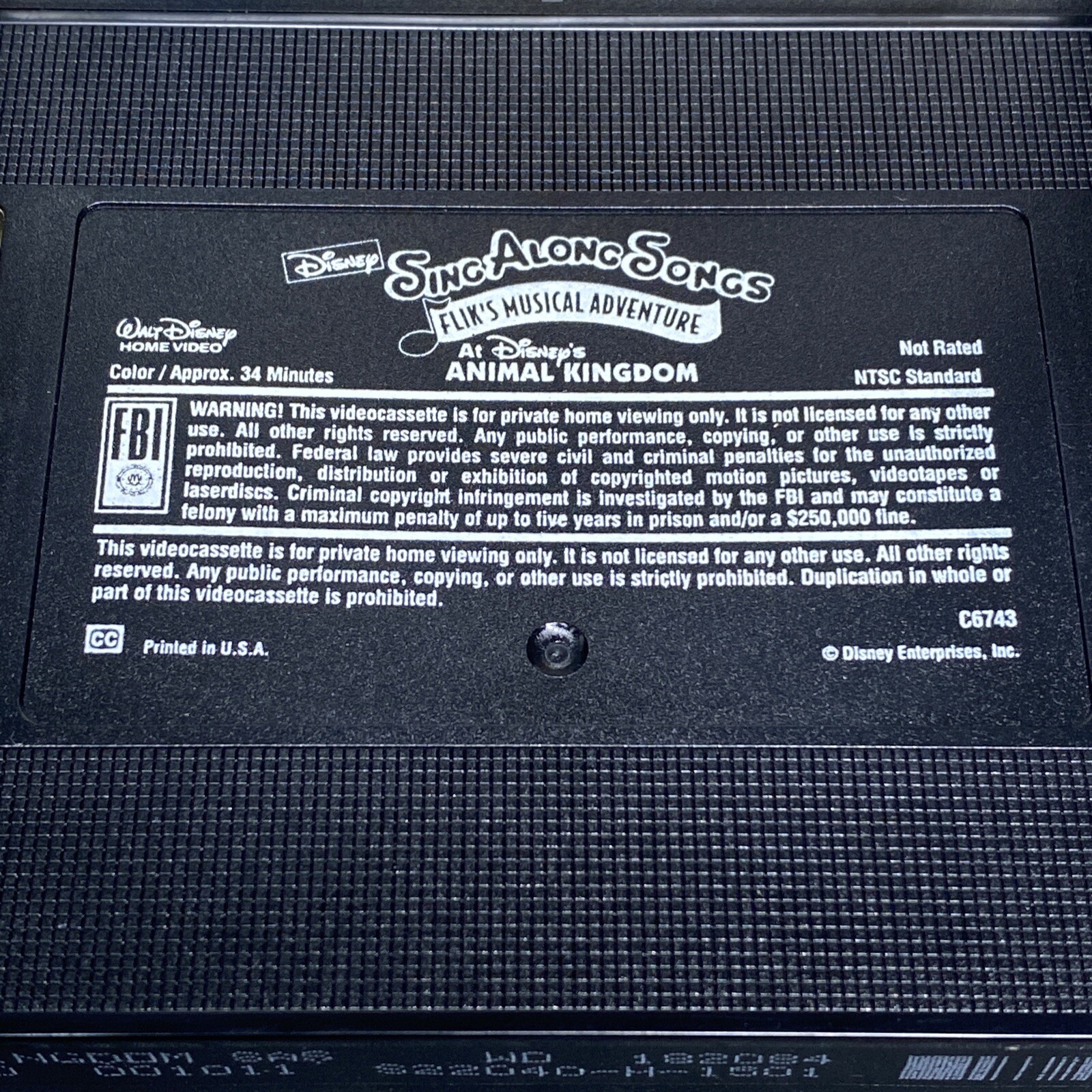 Disney's Sing Along Songs - Flik's Musical Adventure VHS 1999 Classic ...