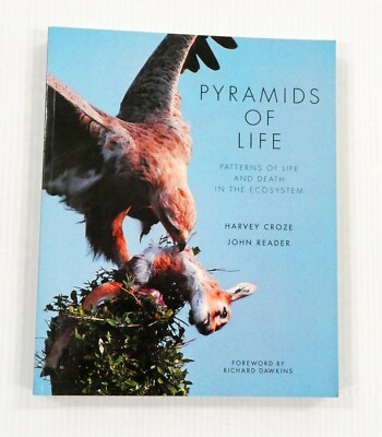Pyramids of Life Croze and Reader Patterns of Life and Death in the ...