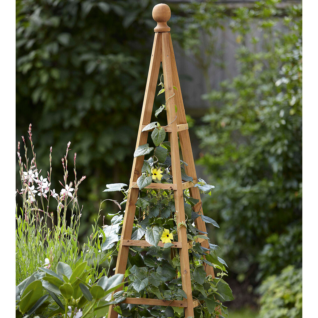 Wooden Garden Obelisk Triangular Outdoor Plant Support Structure ...