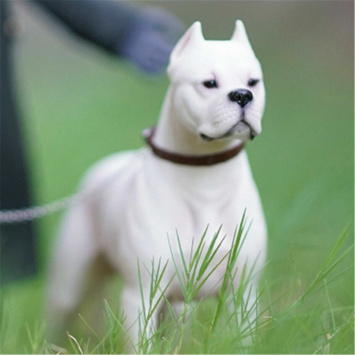 M7 1/6 Dogo Argentinos Pet Dog Animal Model Collection Scene Decoration ...