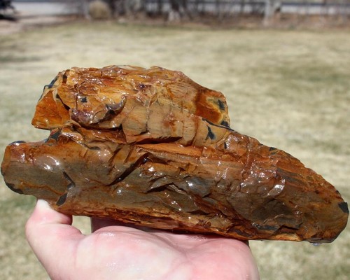 1.7 POUND OWYHEE PICTURE JASPER Specimen/agate/rough | eBay