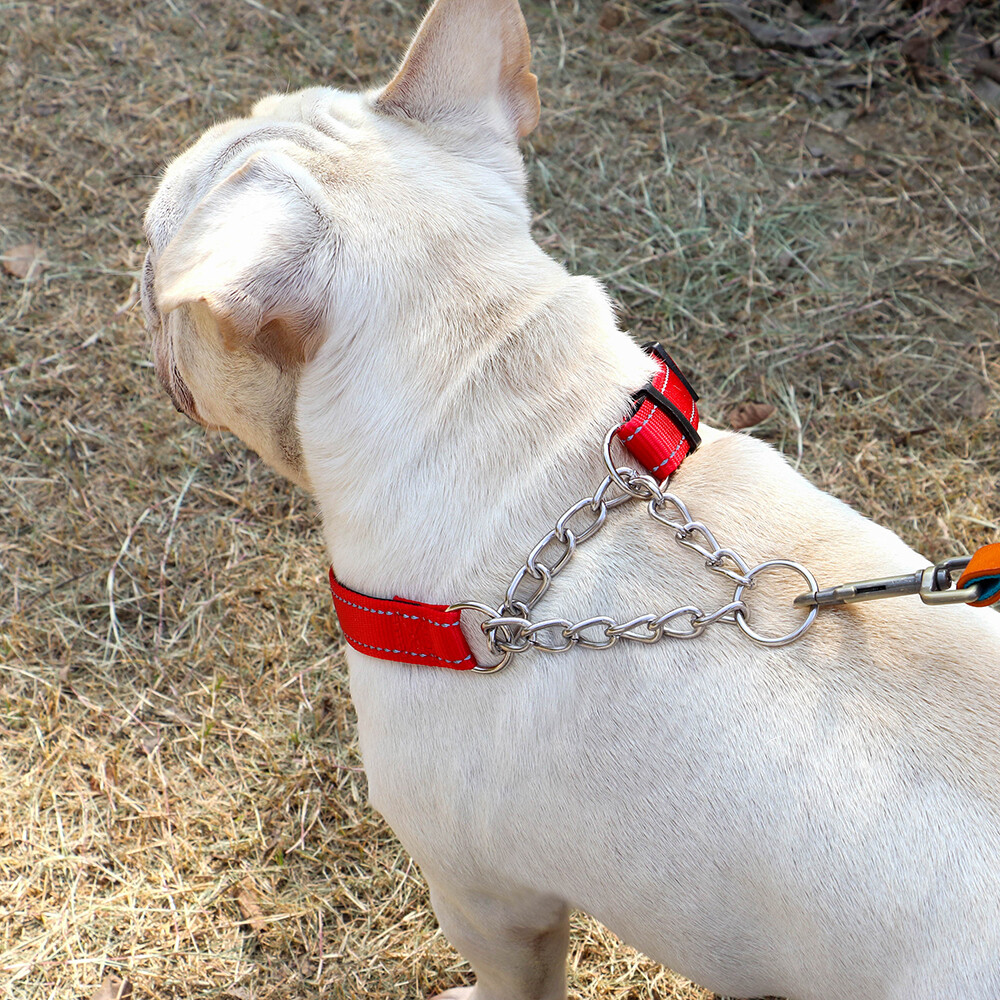 Martingale Dog Training Collar Reflective Nylon Strap With Metal ...