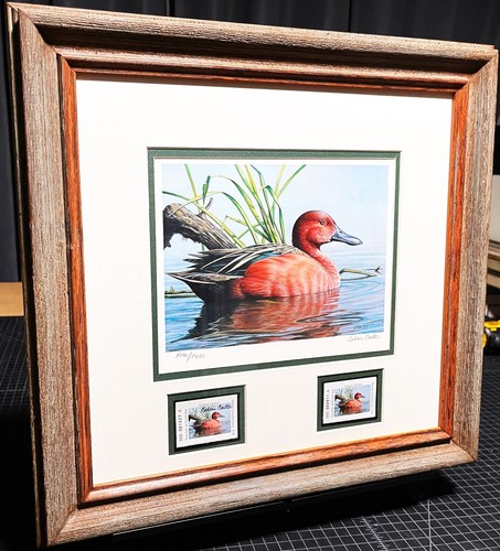 Calvin Carter 2014 Texas Waterfowl Duck Stamp Print With 2 Stamps - New ...
