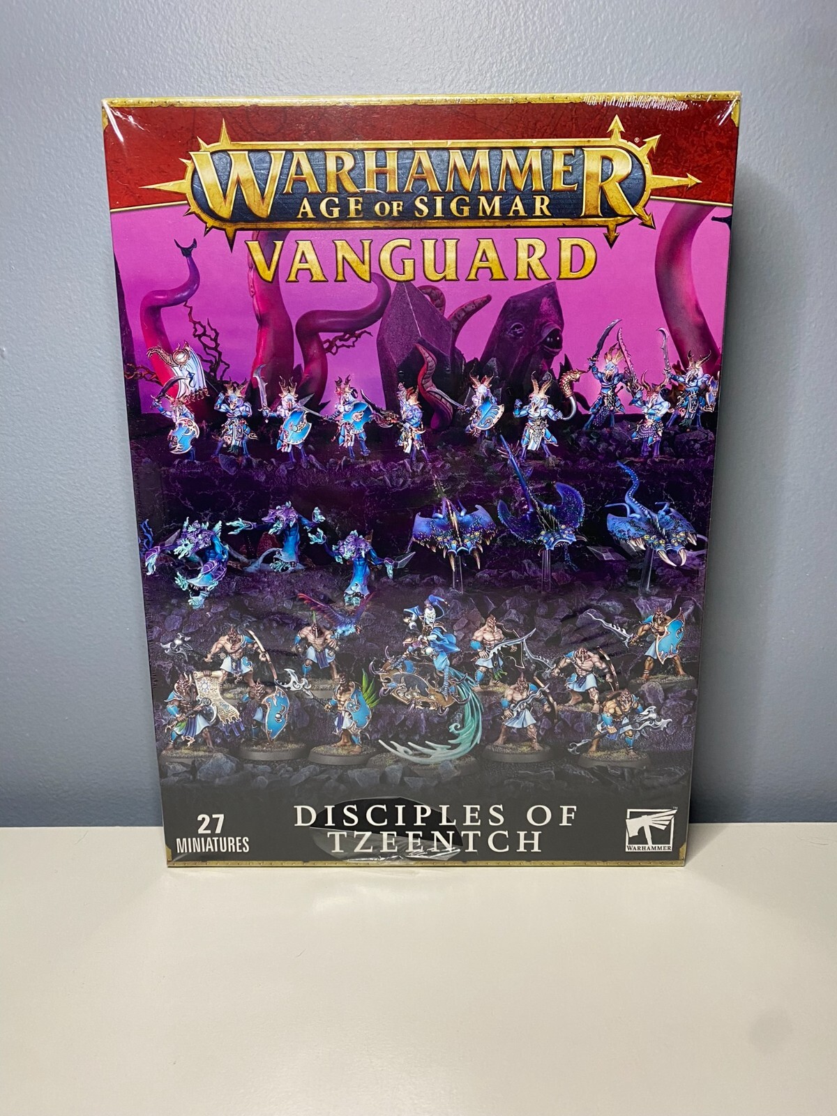 Warhammer Age of Sigmar Disciples of Tzeentch Vanguard | eBay