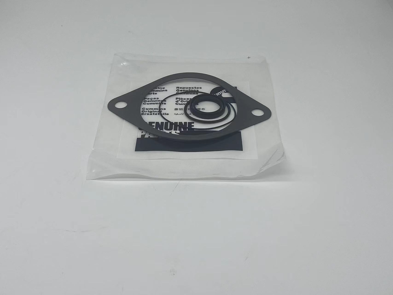 Cummins 4089742 Vacuum Pump Power Steering Seal Kit for 5.9 5.9l Dodge ...