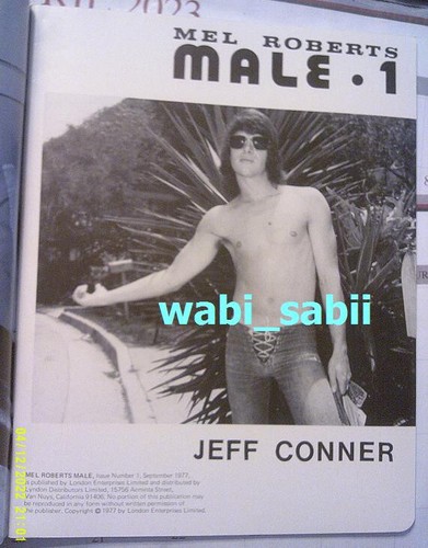 Mel Roberts MALE #1 1977 vtg twink beach boy california surfers beefcake gay art 9781883923488 ...