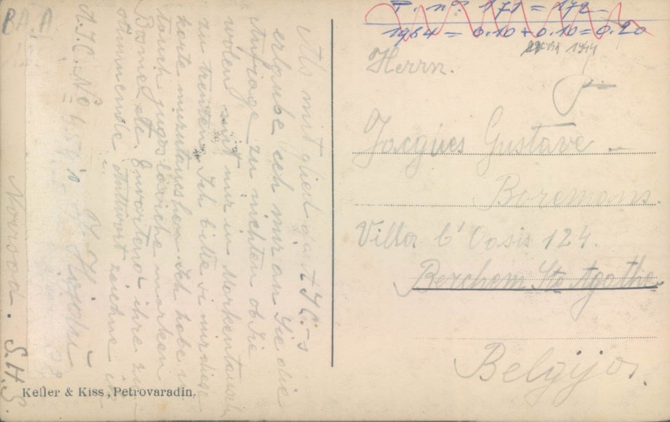 SERBIA Novi Sad animated scene tramway RPPC 1920s | eBay