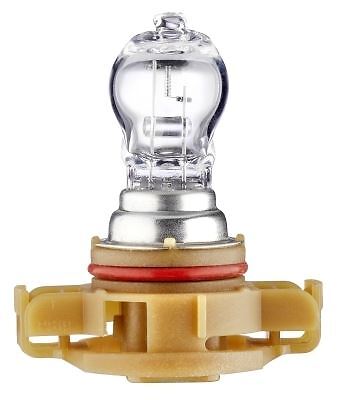 PS19W Bulb Halogen Headlight Fog Brake Reverse Lamp Standard Range OEM ...