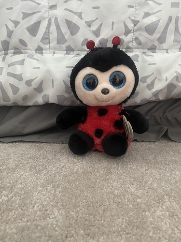 Ty Beanie Boos Izzy the Ladybug Plush Toy Black Red 6" with tags | eBay