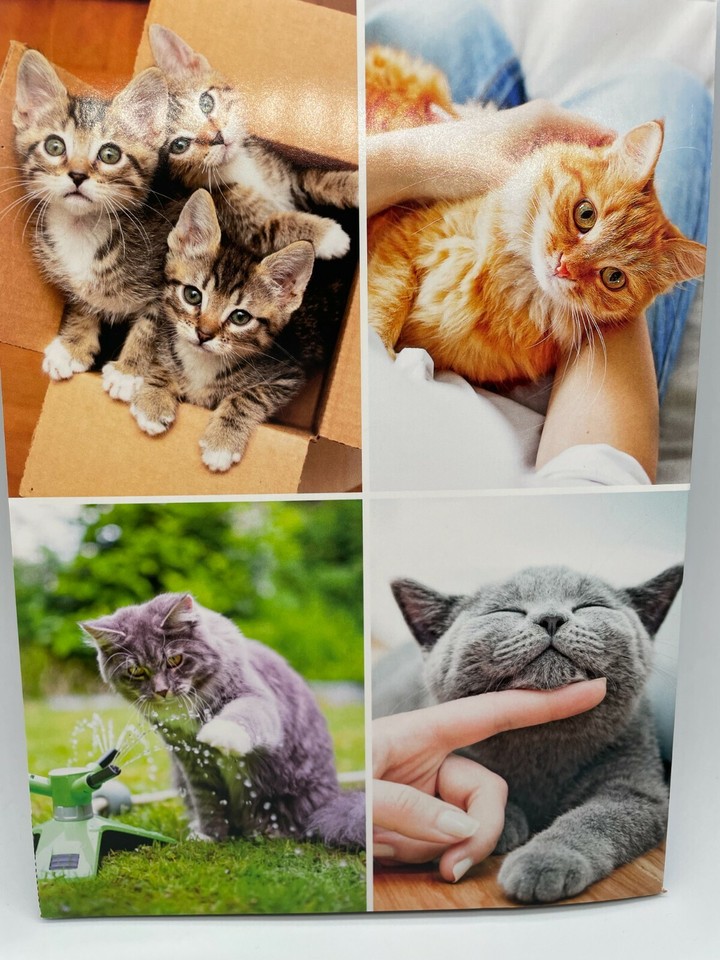 New Inside Your Cats Mind What they Really Think How To Code their ...