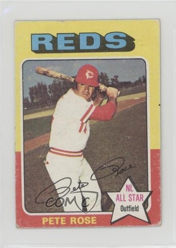 1975 Topps Mini Pete Rose #320 | eBay