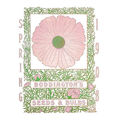 Vintage Advert Boddingtons Seeds Bulbs Spring 1908 Art Print Poster ...