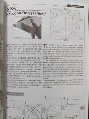 Complex Origami Instructions