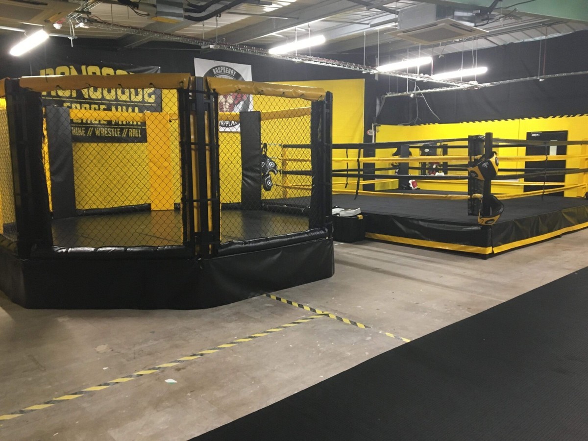How Much Does A Boxing Ring Cost Pro Training Boxing Ring With A 30cm