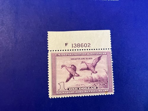 US #RW5 stamp 1938 Plate# - US Federal Duck Stamp - Mint OG NH | eBay