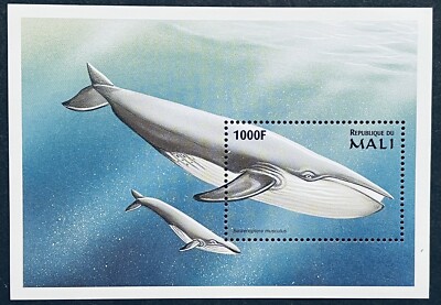 MALI MARINE LIFE BLUE WHALE STAMPS SOUVENIR SHEET MNH 1997 SEALIFE ...