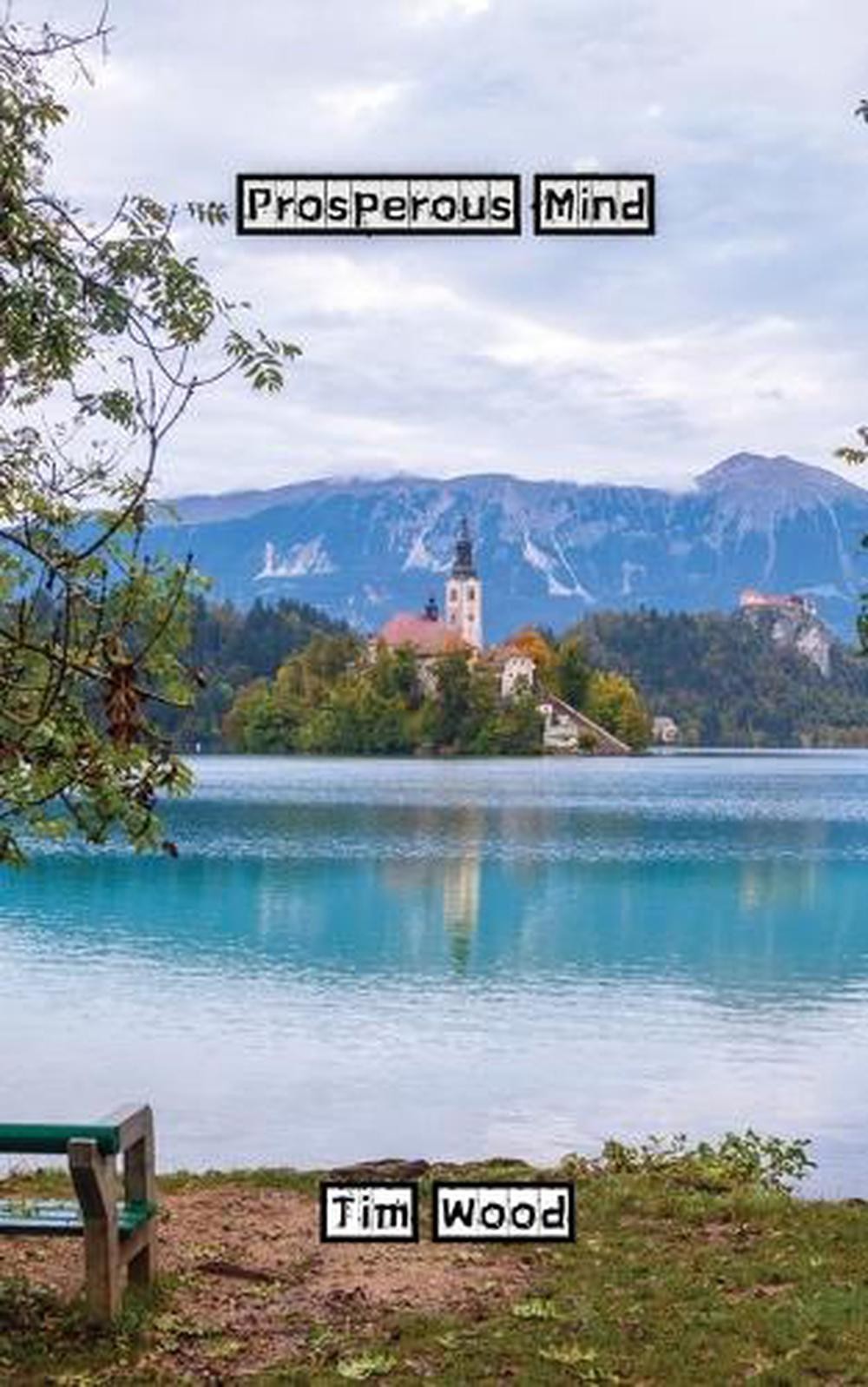 Prosperous Mind by Tim Wood Paperback Book | eBay