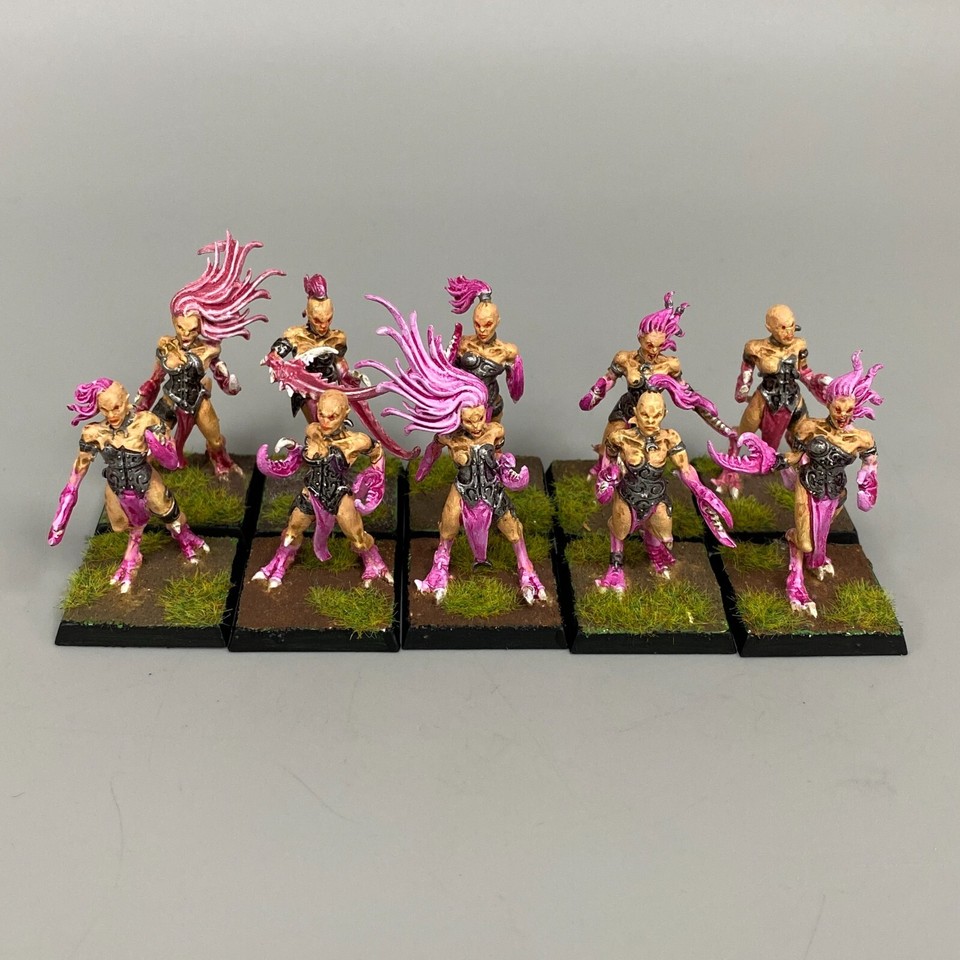 CHAOS DAEMONETTE ARMY OF SLAANESH WARHAMMER 40k 40,000 AGE OF SIGMAR ...
