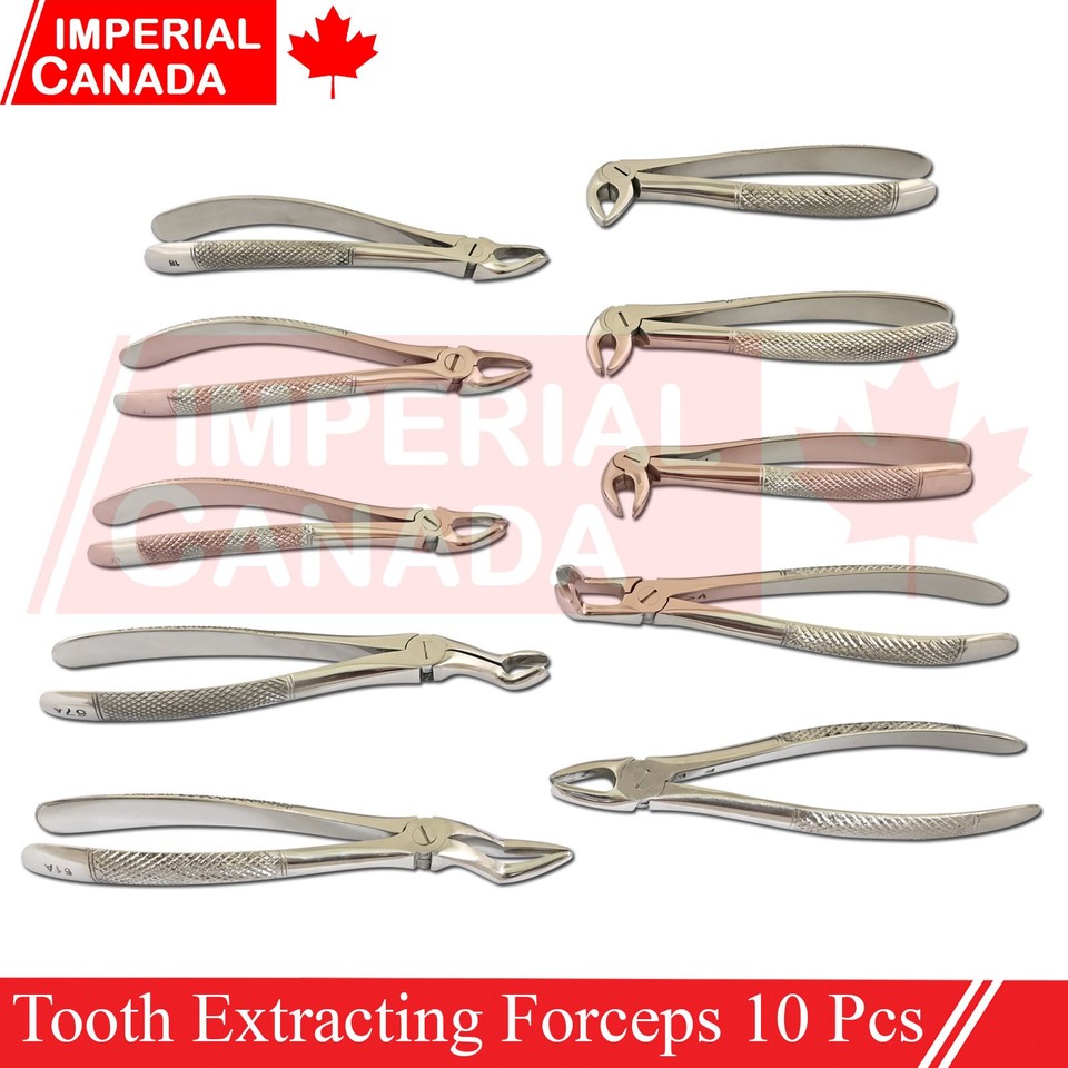 Dental Tooth Extraction Forceps 10 Pcs Oral Extracting Forceps German ...