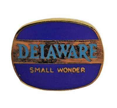 DELAWARE SMALL WONDER Pin | eBay